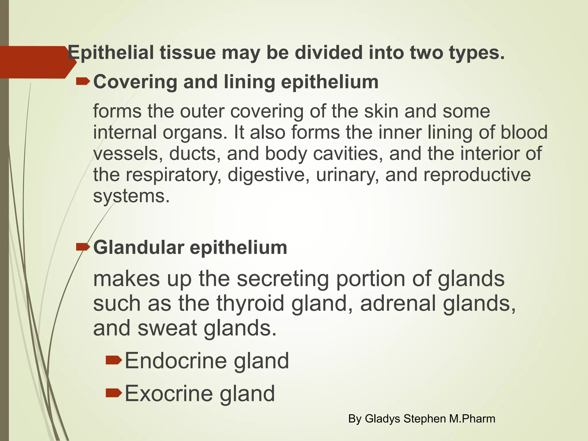 Tissues | PPTX