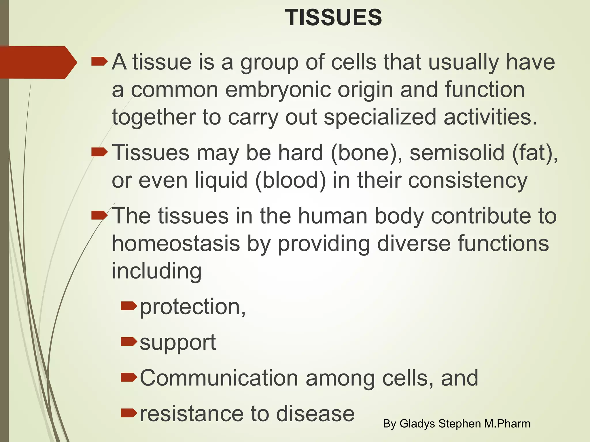 Tissues | PPTX