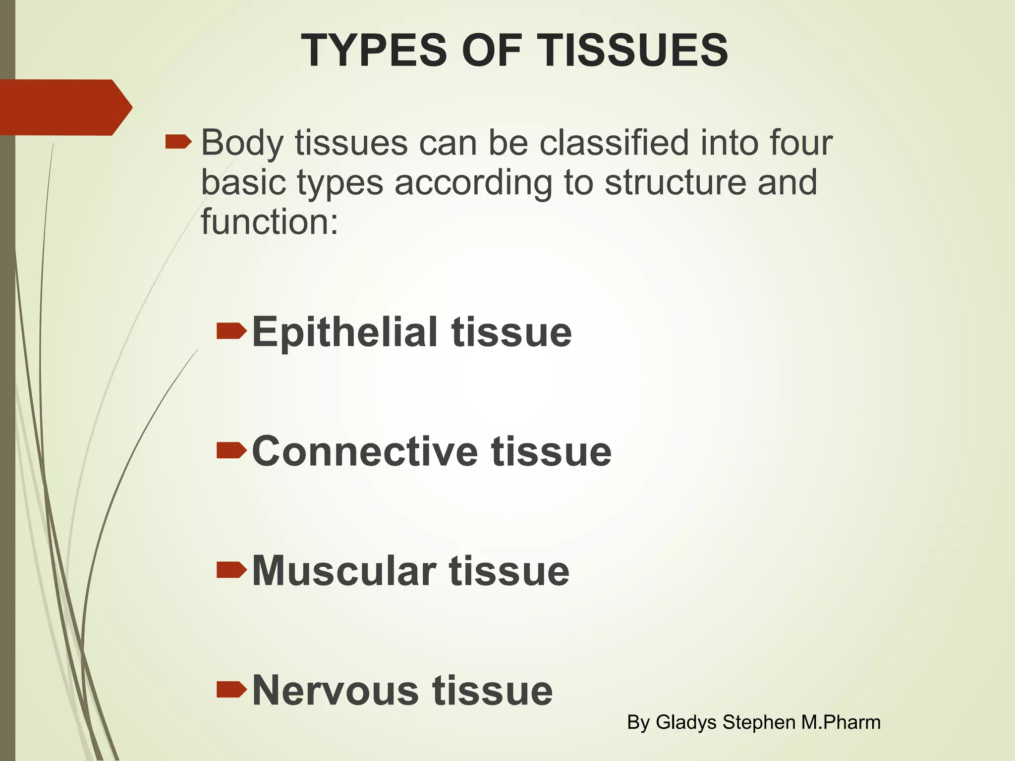 Tissues | PPTX