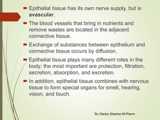 Tissues | PPTX