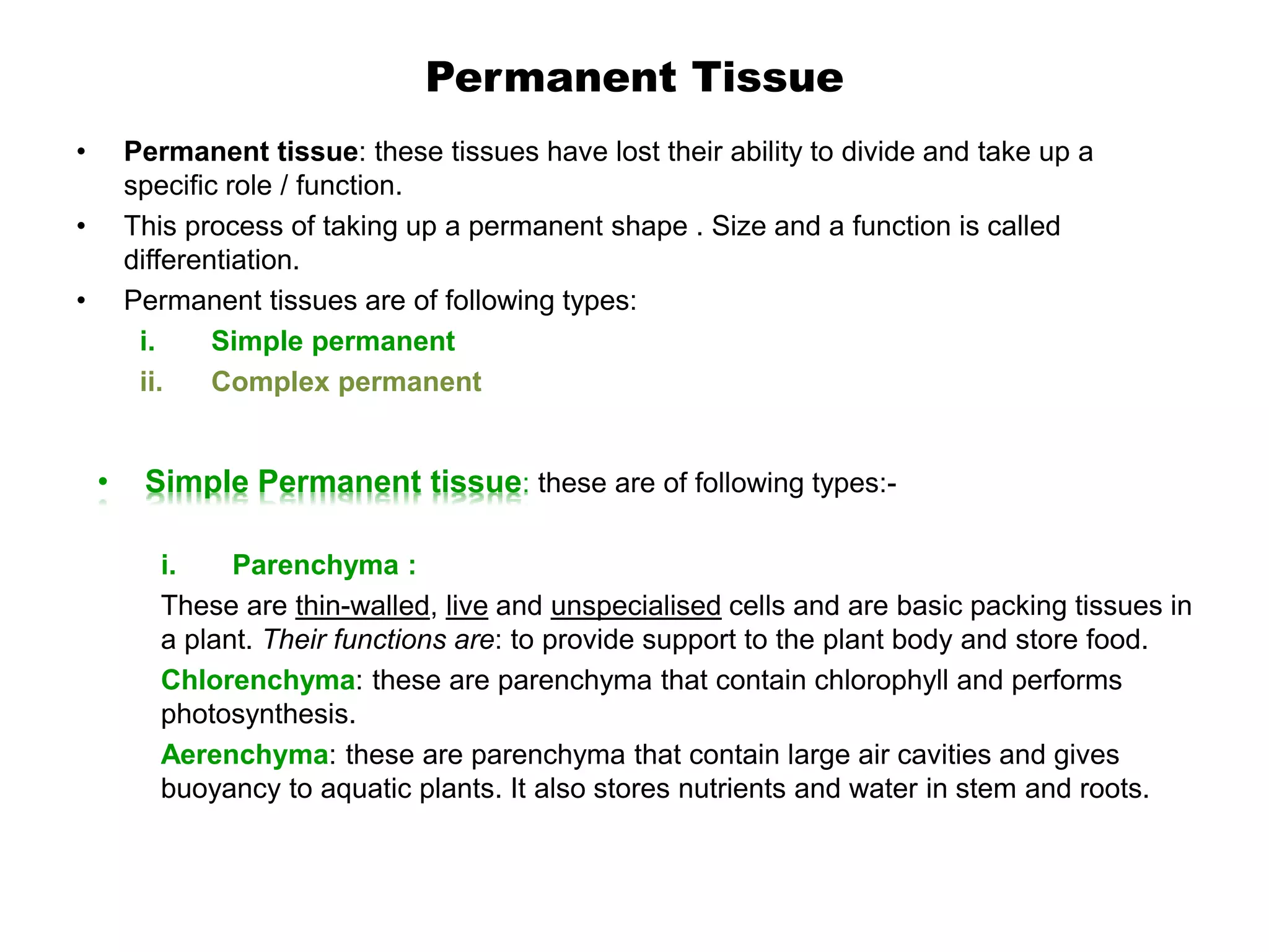 Tissues | PPT
