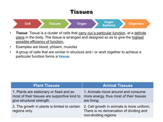 Tissues | PPT
