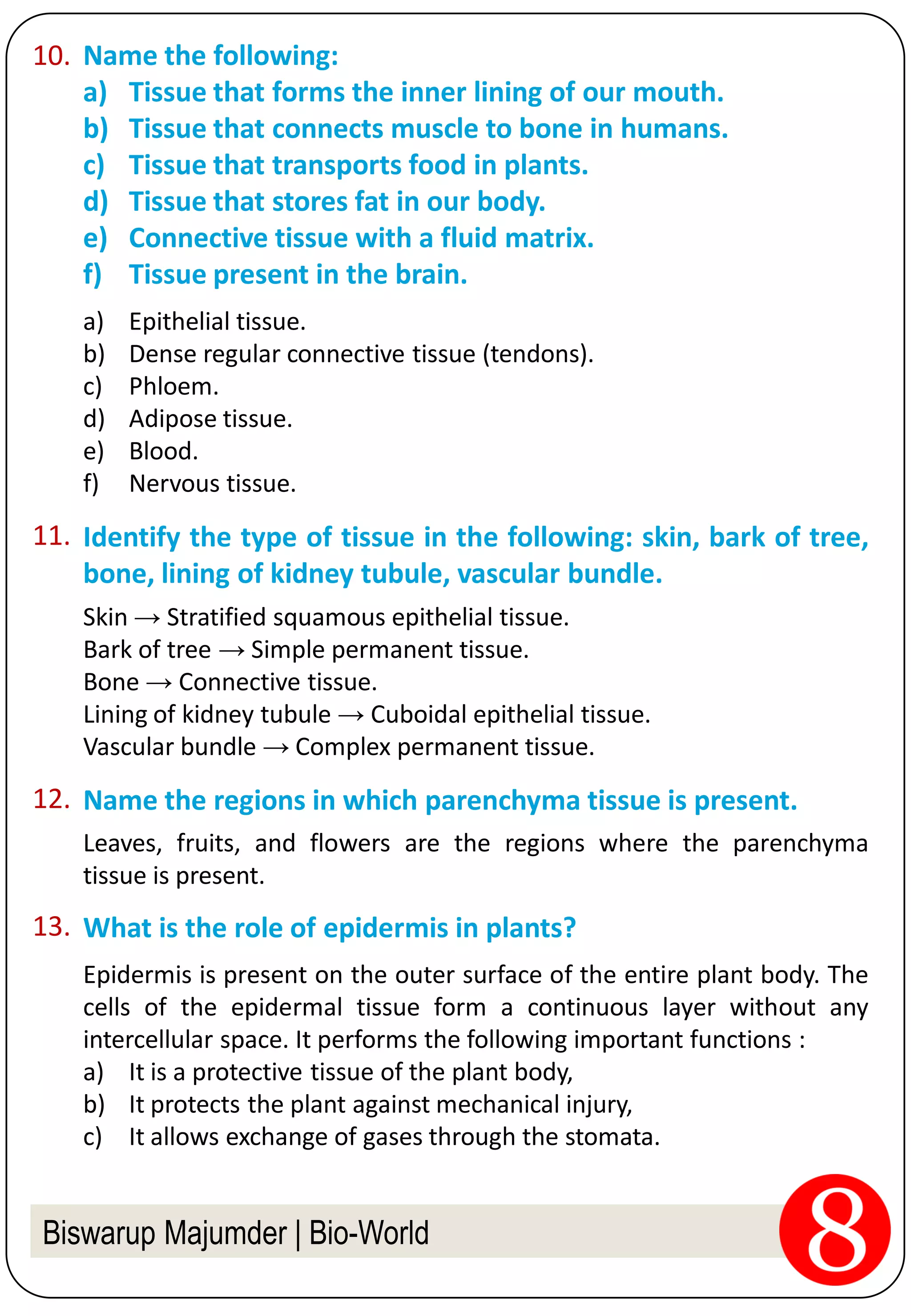 NCERT Solutions | Class IX | Science (Biology) | Chapter 6 | Tissues | PDF