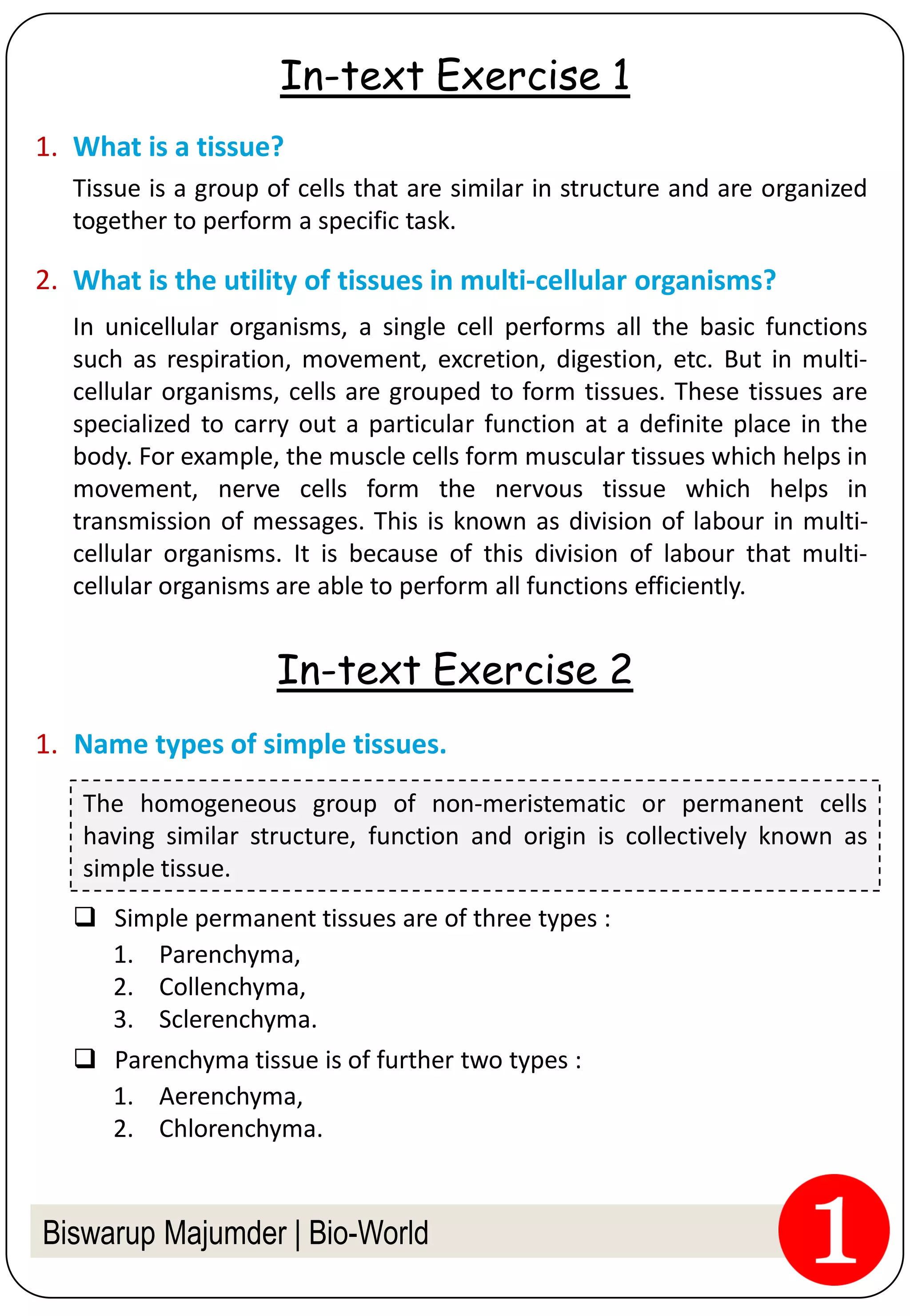 NCERT Solutions | Class IX | Science (Biology) | Chapter 6 | Tissues | PDF
