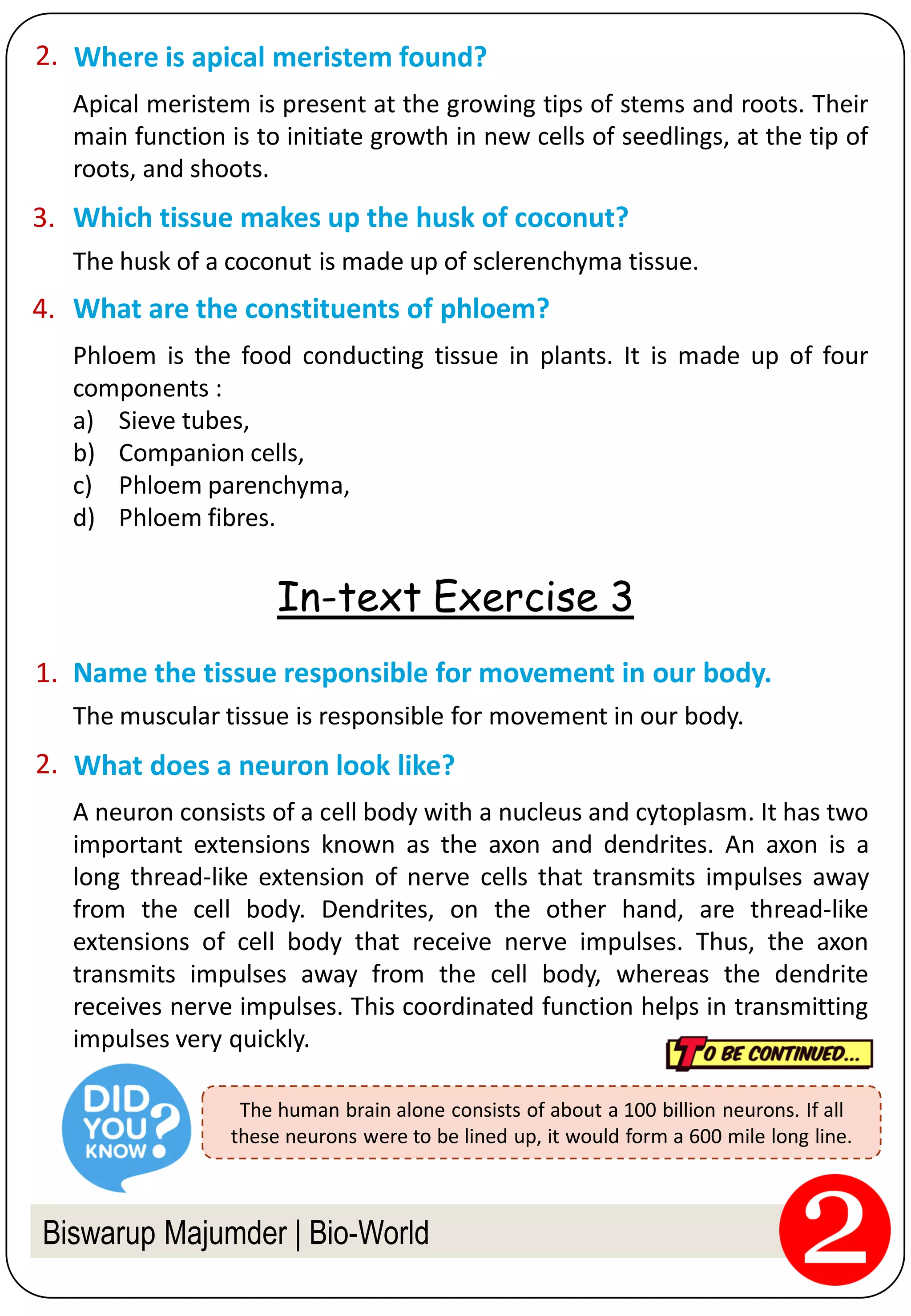 NCERT Solutions | Class IX | Science (Biology) | Chapter 6 | Tissues | PDF
