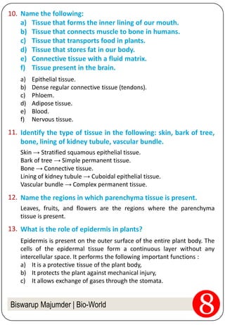 NCERT Solutions | Class IX | Science (Biology) | Chapter 6 | Tissues | PDF