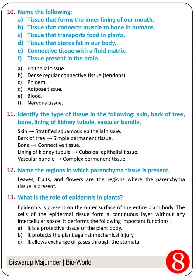 NCERT Solutions | Class IX | Science (Biology) | Chapter 6 | Tissues | PDF