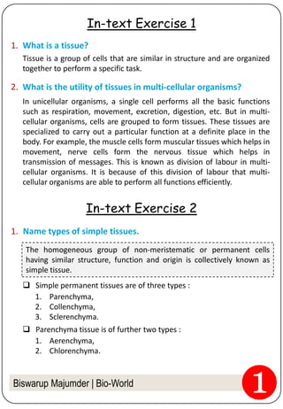 NCERT Solutions | Class IX | Science (Biology) | Chapter 6 | Tissues | PDF