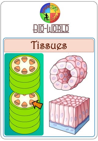 Tissue Science