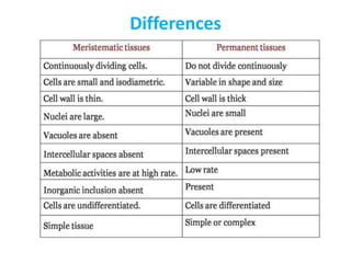 Tissues | PPTX