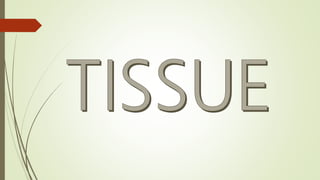 Tissues | PPT