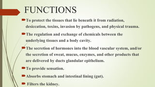 Tissues | PPTX