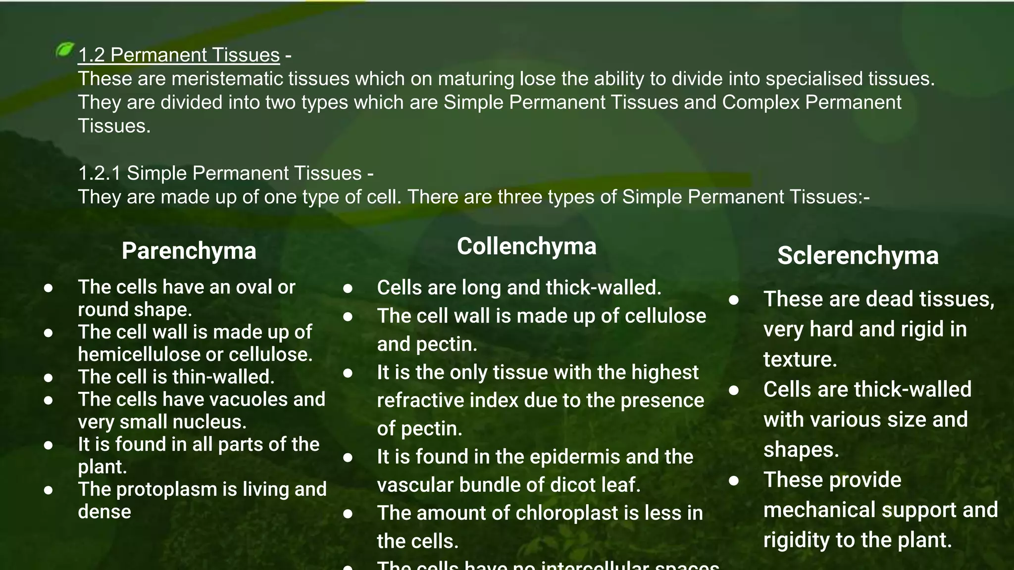CH-6 Tissues, Class-9 | PPTX