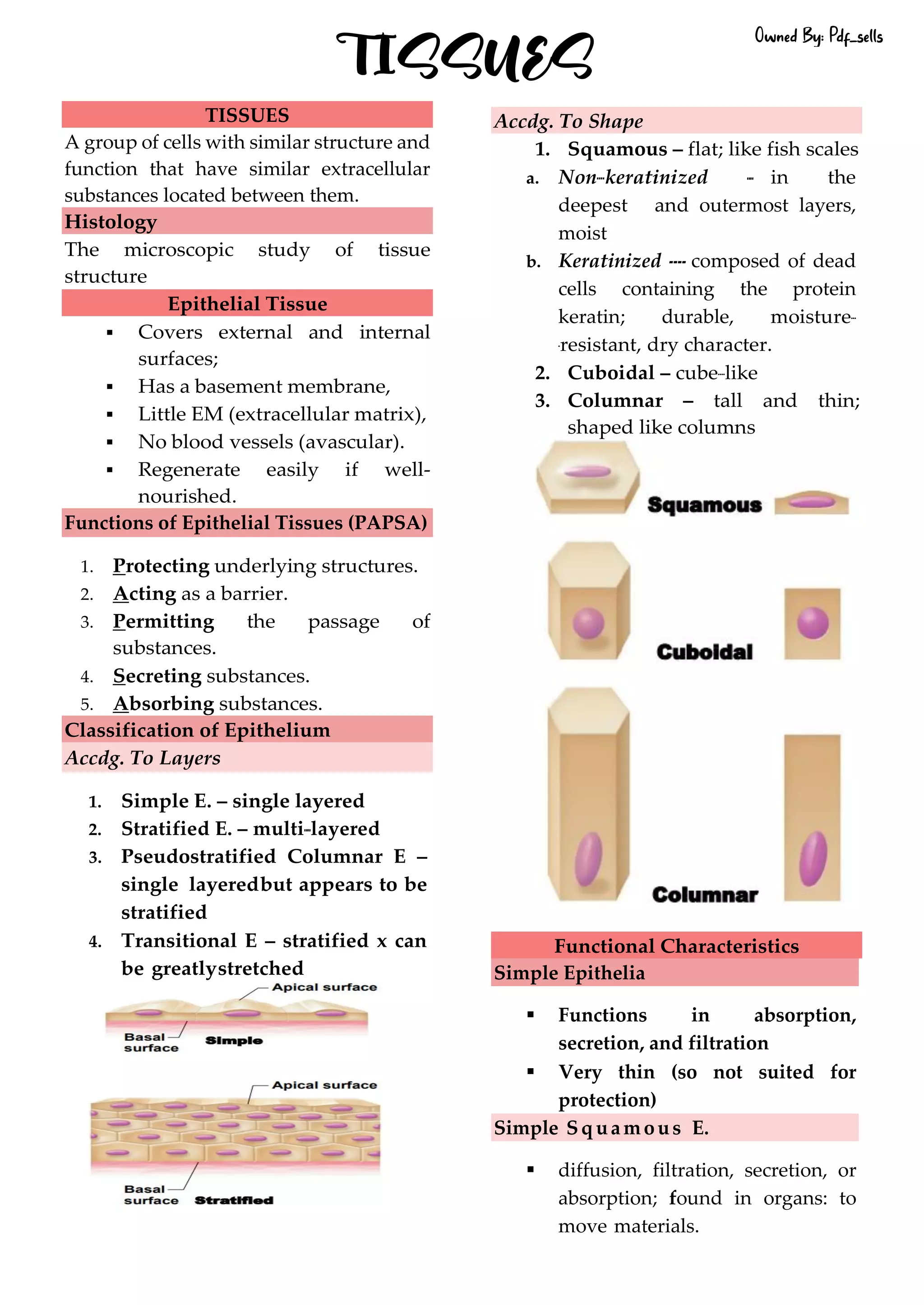 TISSUES.pdf | Biological Sciences | Science