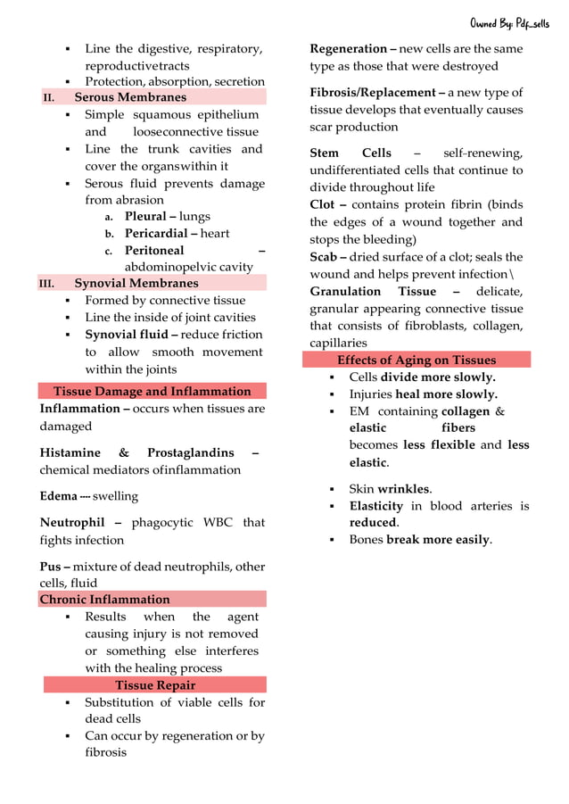 TISSUES.pdf | Biological Sciences | Science