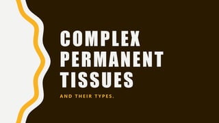 Plant tissues | PPTX