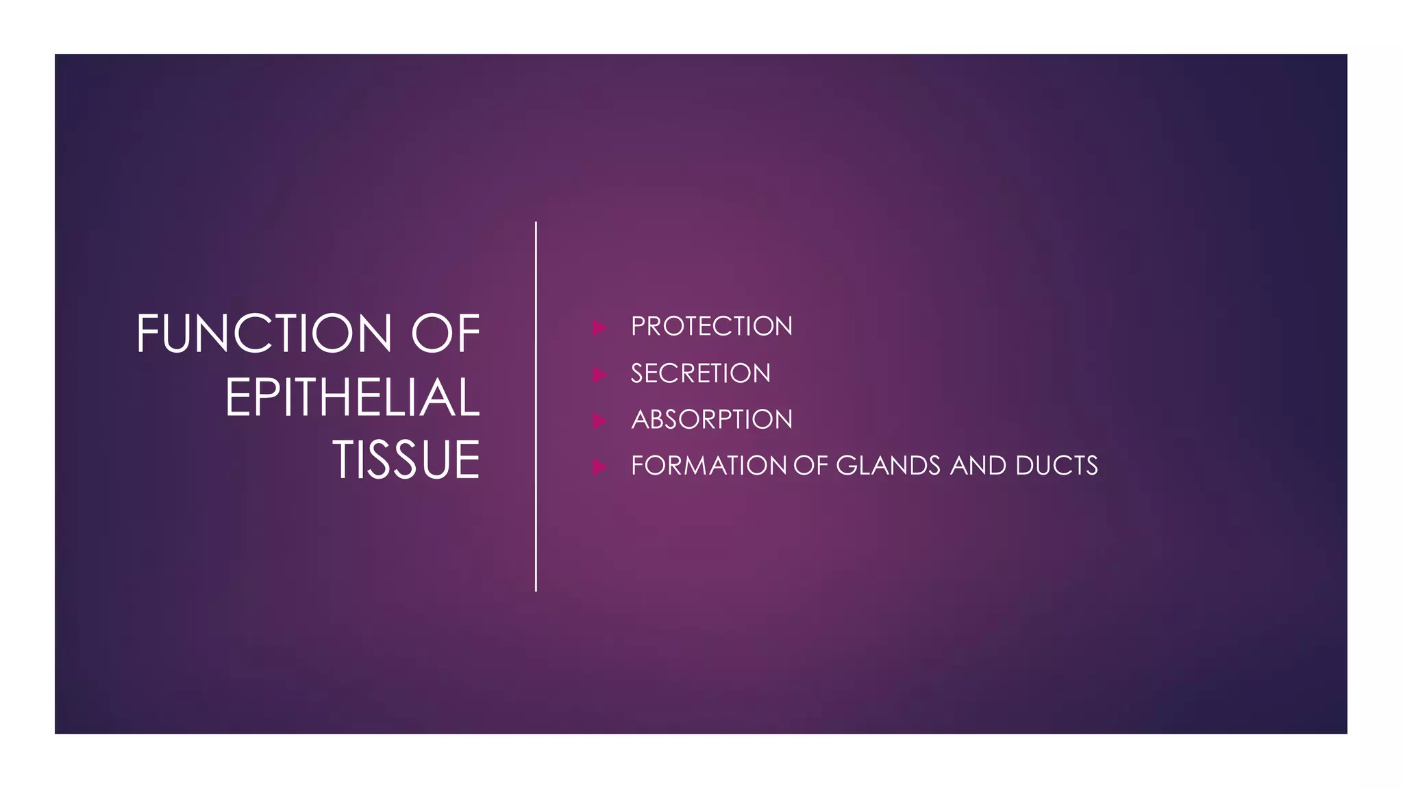 EPITHELIAL TISSUES | PDF