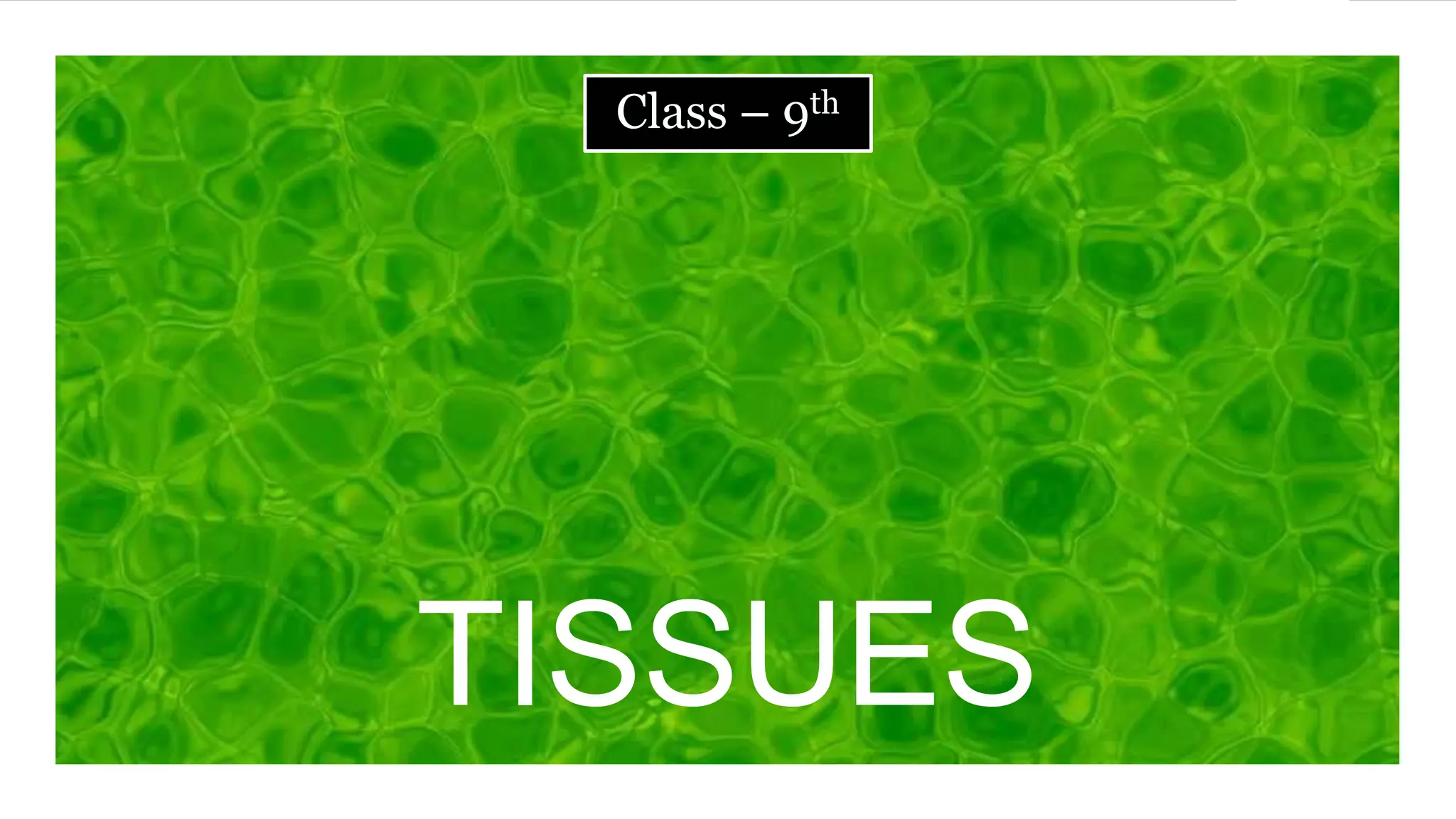 TISSUES Class - 9th | PPTX