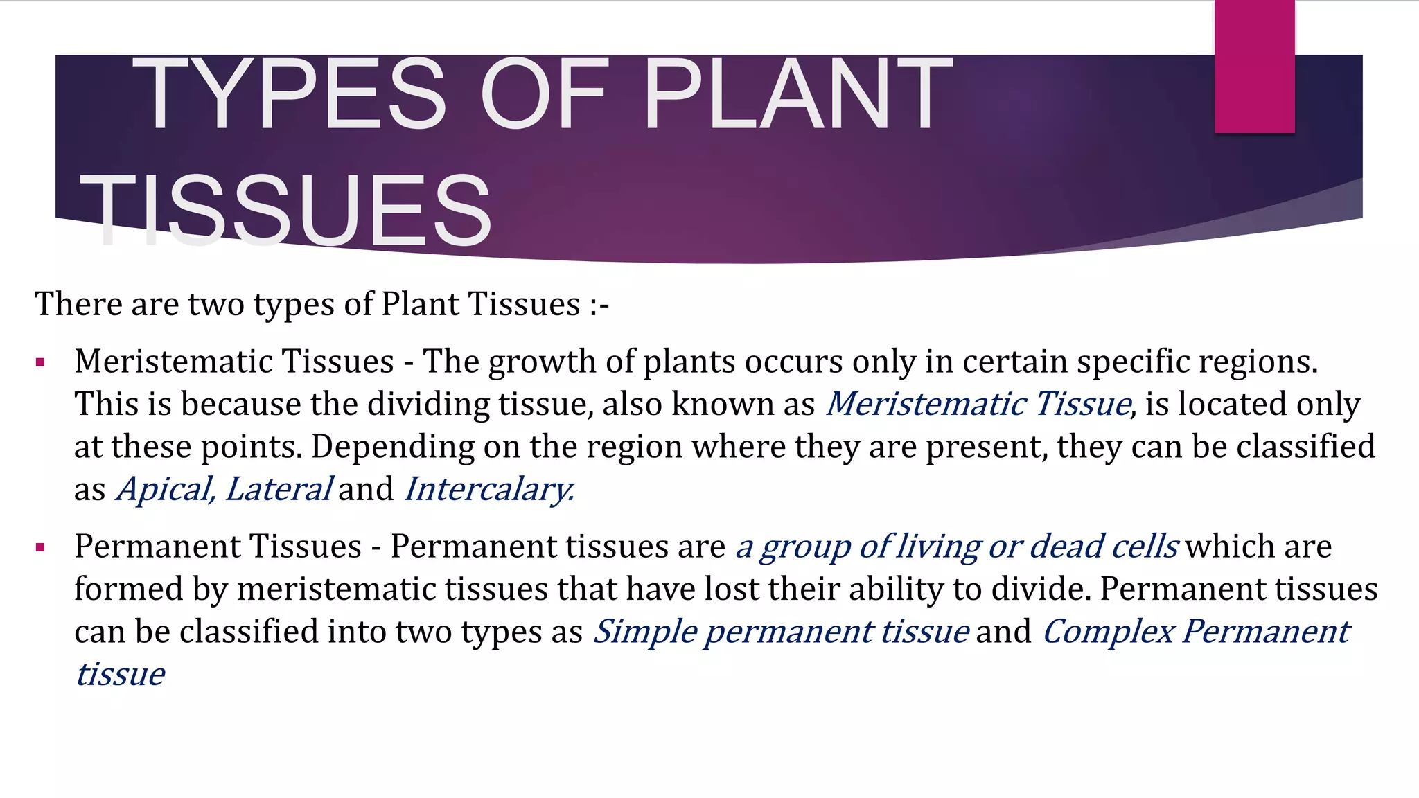 TISSUES Class - 9th | PPTX
