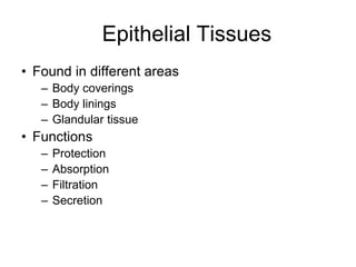 Tissues.ppt