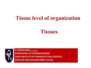 TISSUES | PPTX