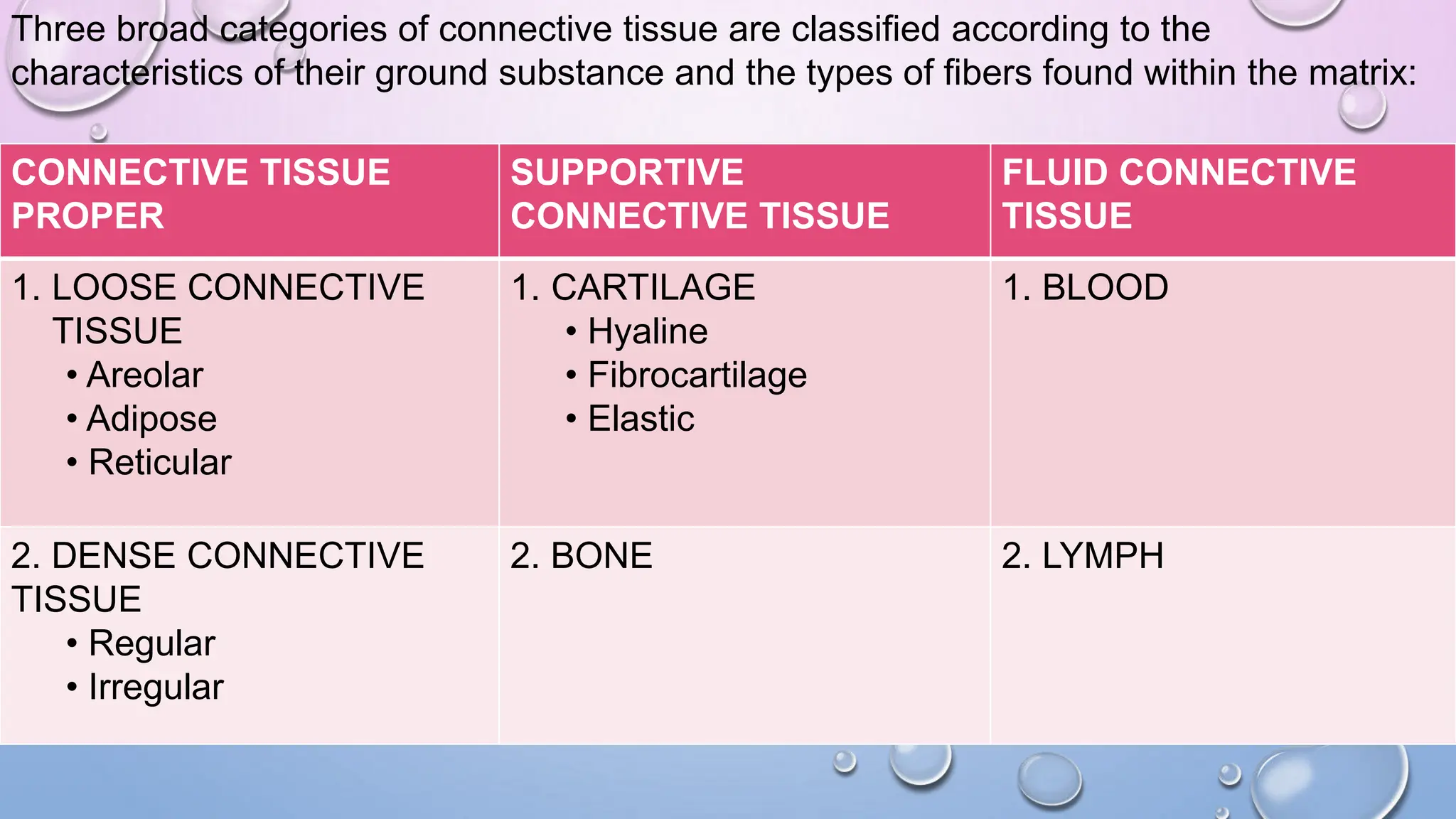 TISSUES ANATOMY AND PHYSIOLOGY LECTURE PPT | PPTX
