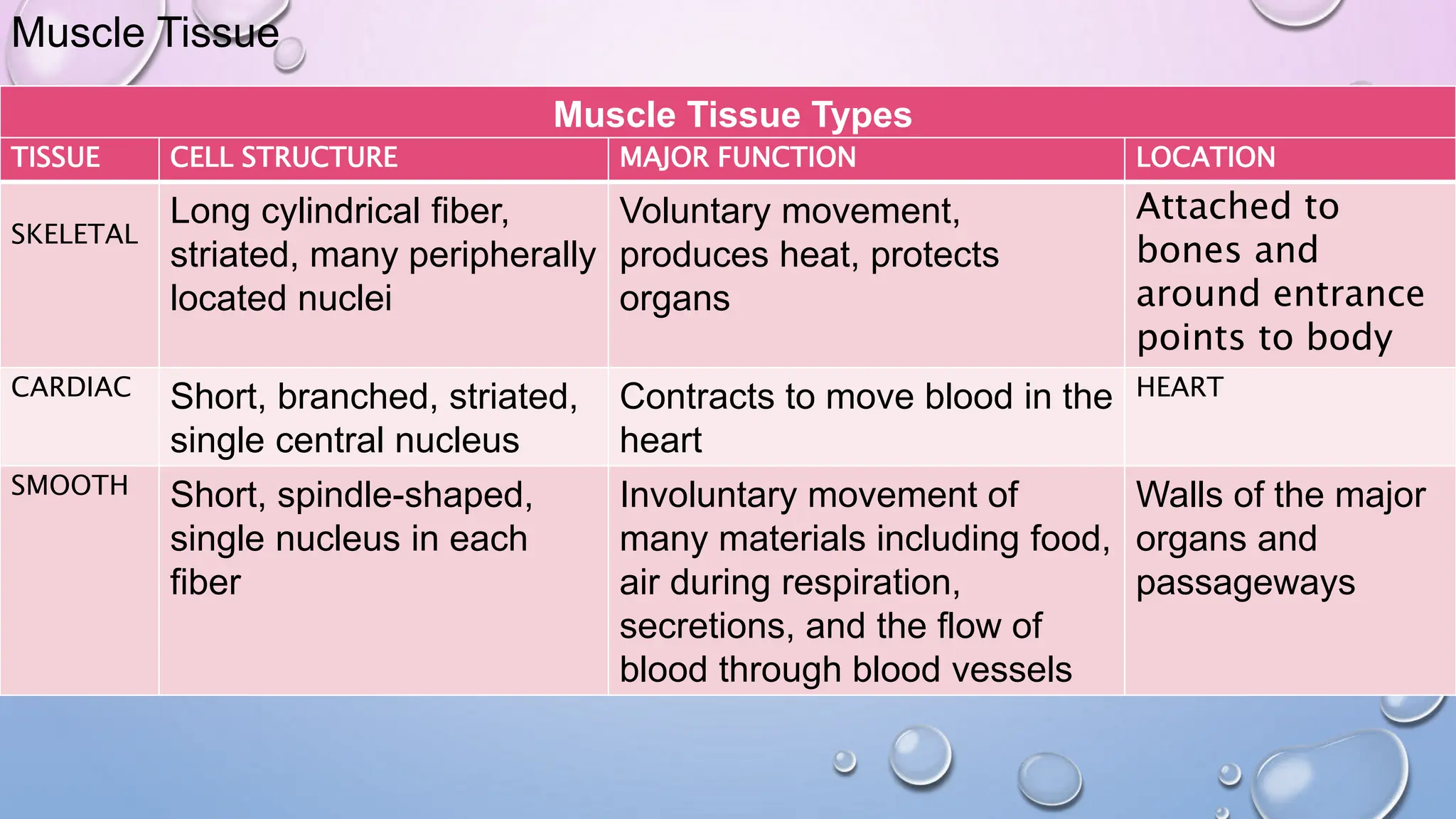 TISSUES ANATOMY AND PHYSIOLOGY LECTURE PPT | PPTX