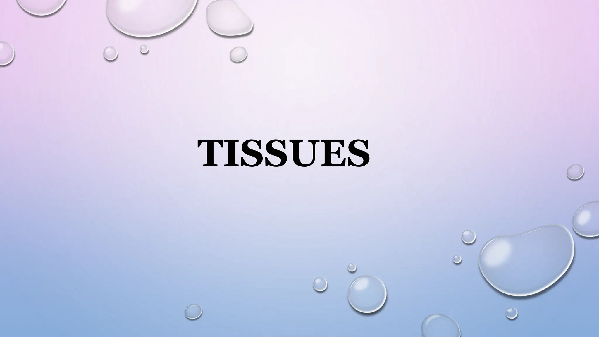 TISSUES ANATOMY AND PHYSIOLOGY LECTURE PPT | PPT