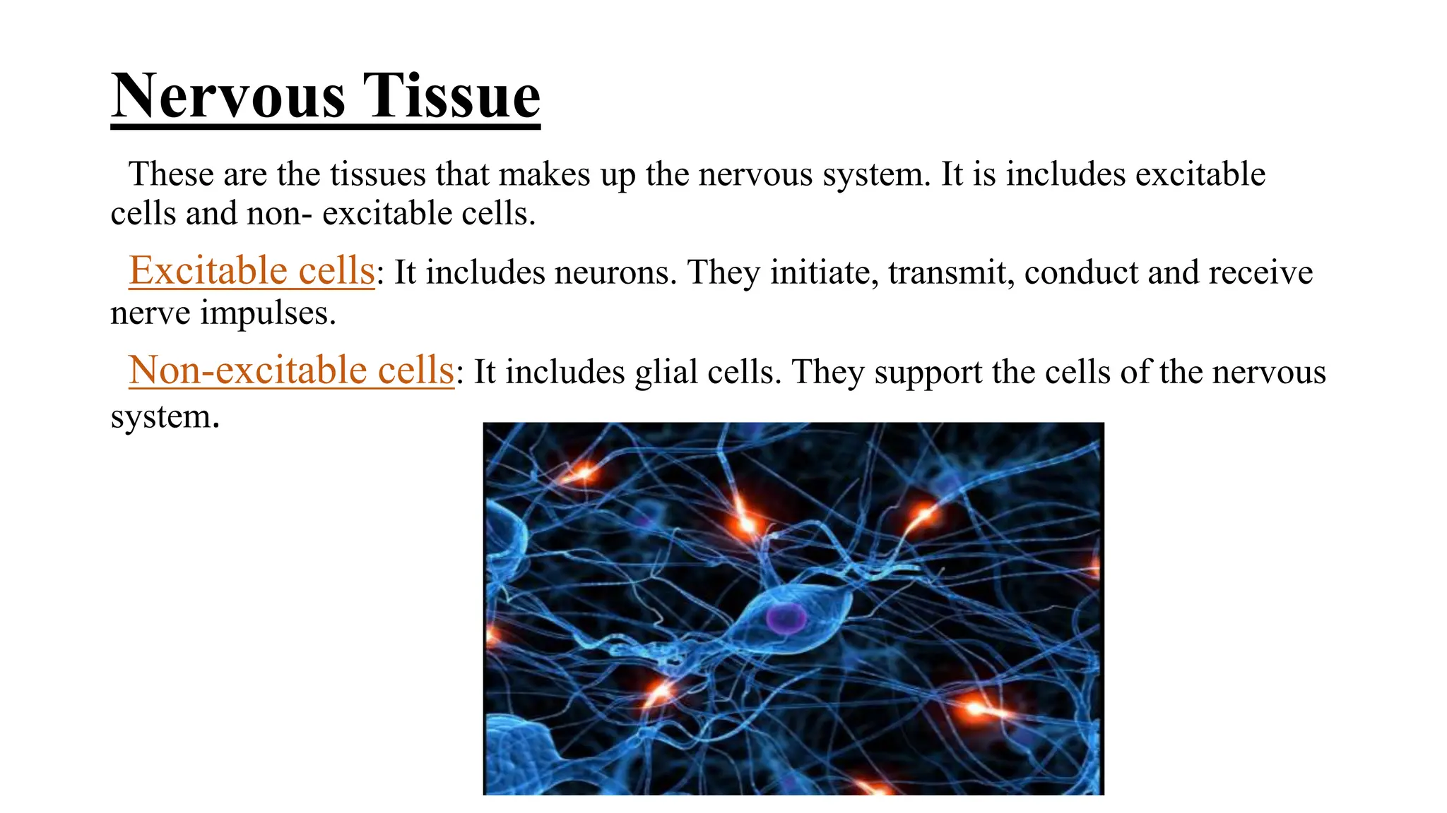 Different types of animal Tissues DMLT .pptx