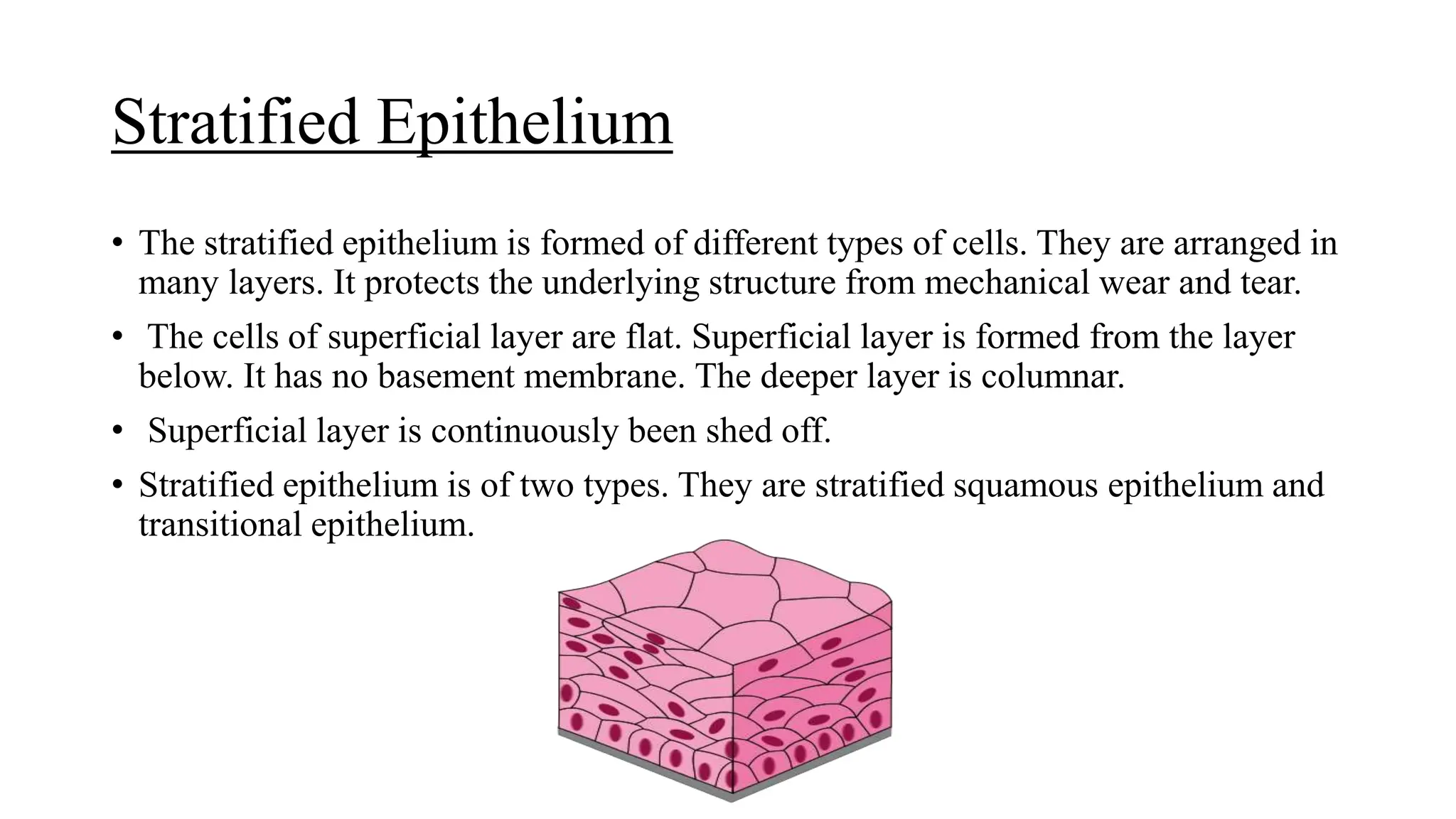 Different types of animal Tissues DMLT .pptx