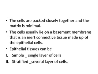 HUMAN BEING BODY TISSUESEXPLAINED IN DETAILS. | PPT