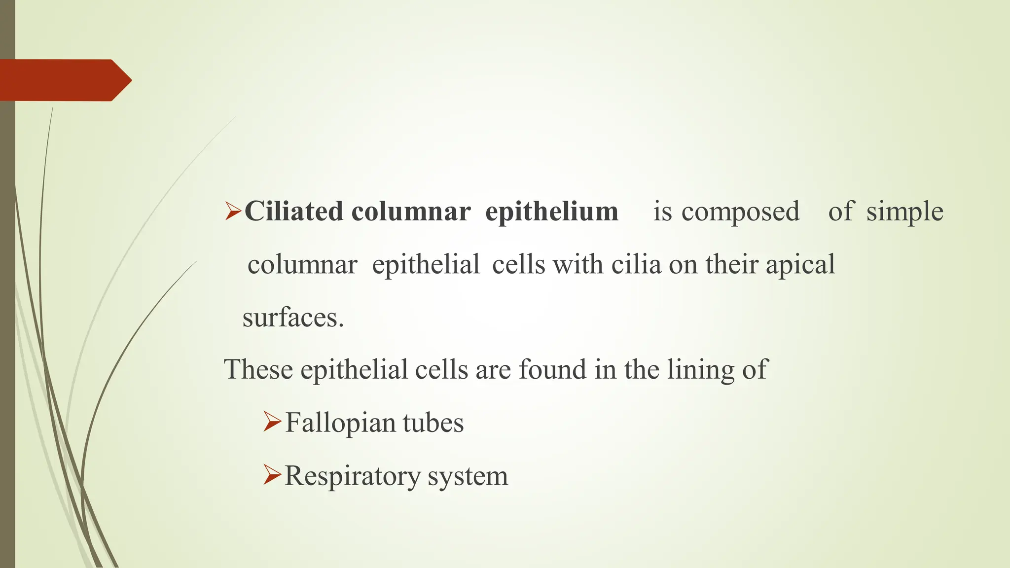 Here's a complete presentation on the topic of "tissue " for pharm d ...