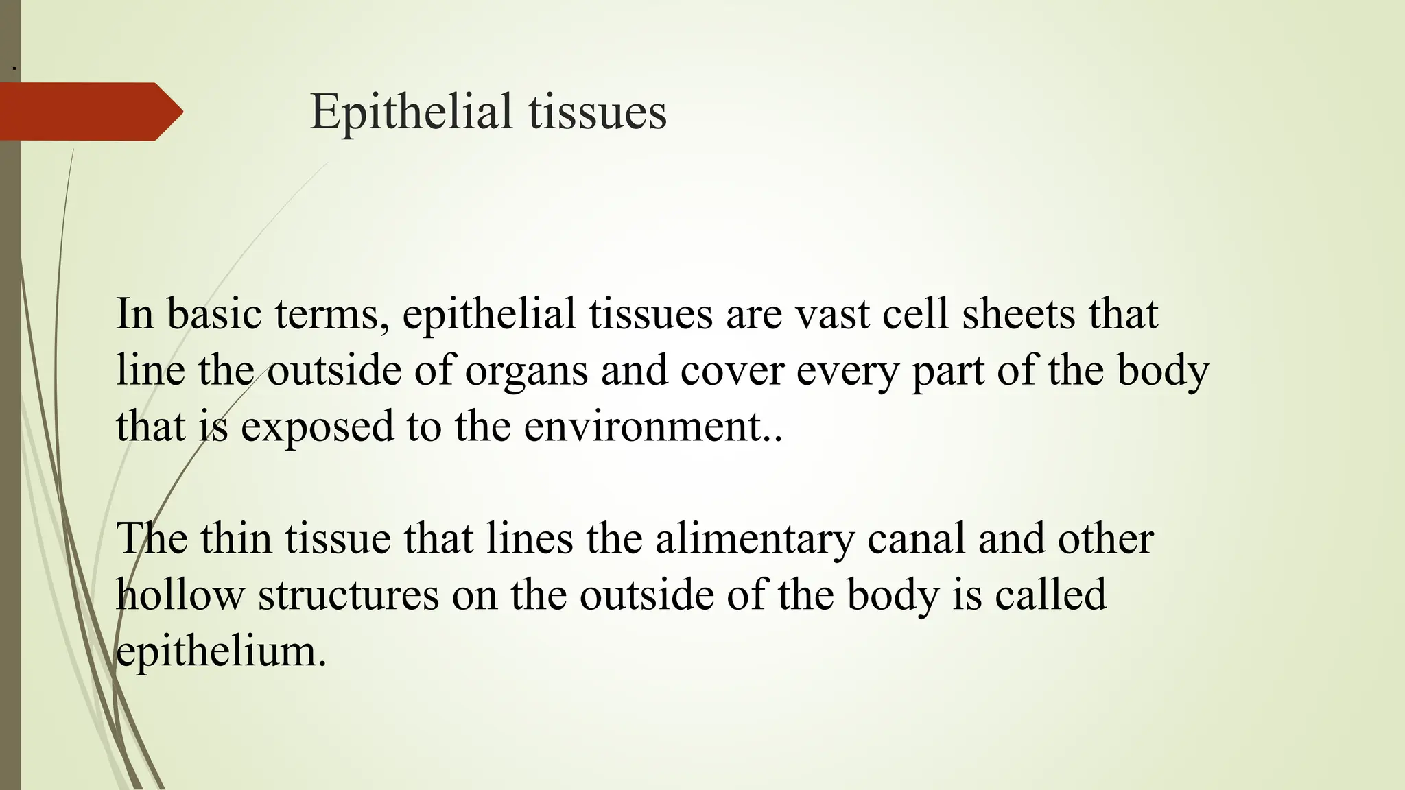 Here's a complete presentation on the topic of "tissue " for pharm d ...