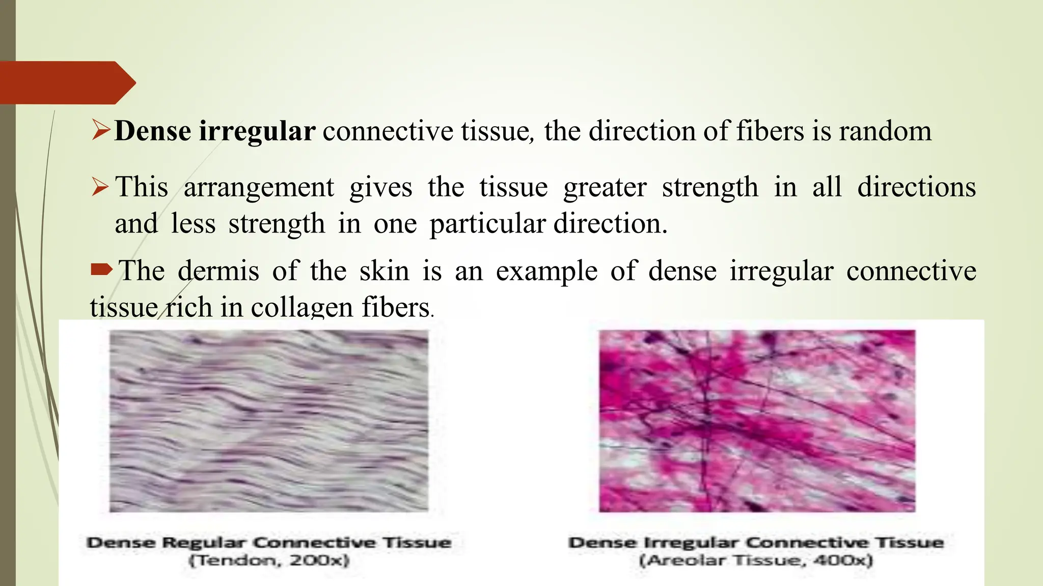 Here's a complete presentation on the topic of "tissue " for pharm d ...