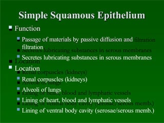 tissuestissuestissuestissuestissuestissues | PPTX