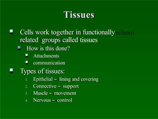 tissuestissuestissuestissuestissuestissues | PPTX
