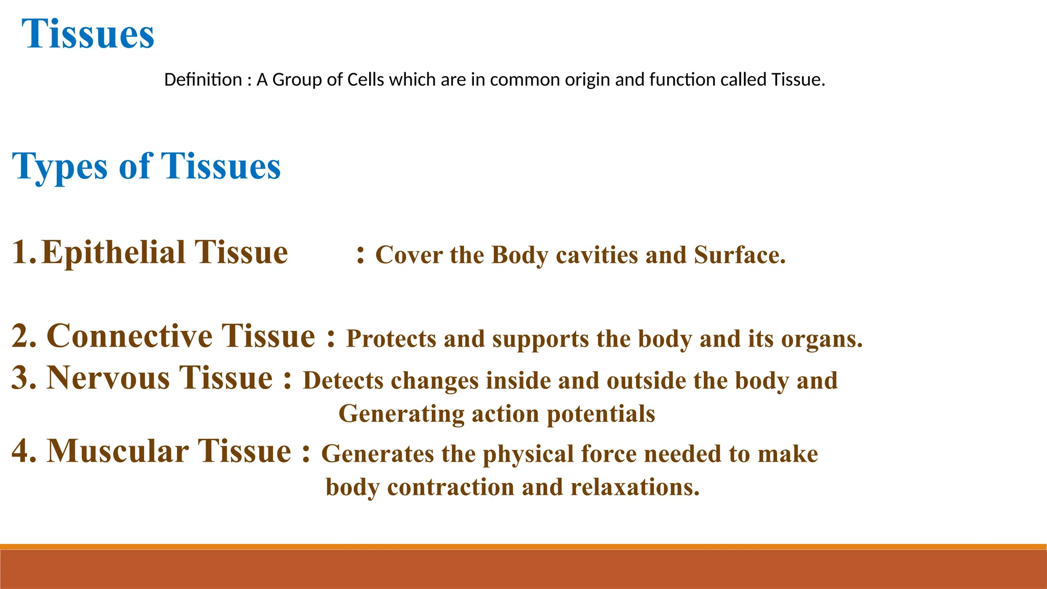 Classification of Epithelial Tissues.pptx