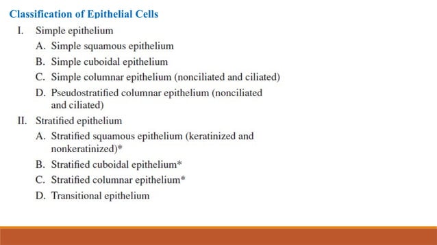 Classification of Epithelial Tissues.pptx