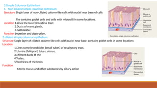 Classification of Epithelial Tissues.pptx