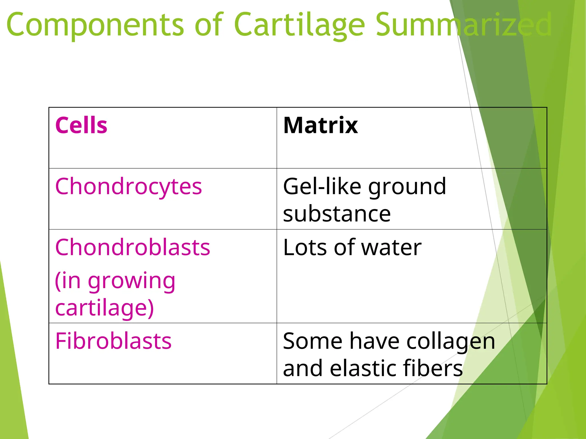 Presentation on Tissues (the medical kind) | PPT