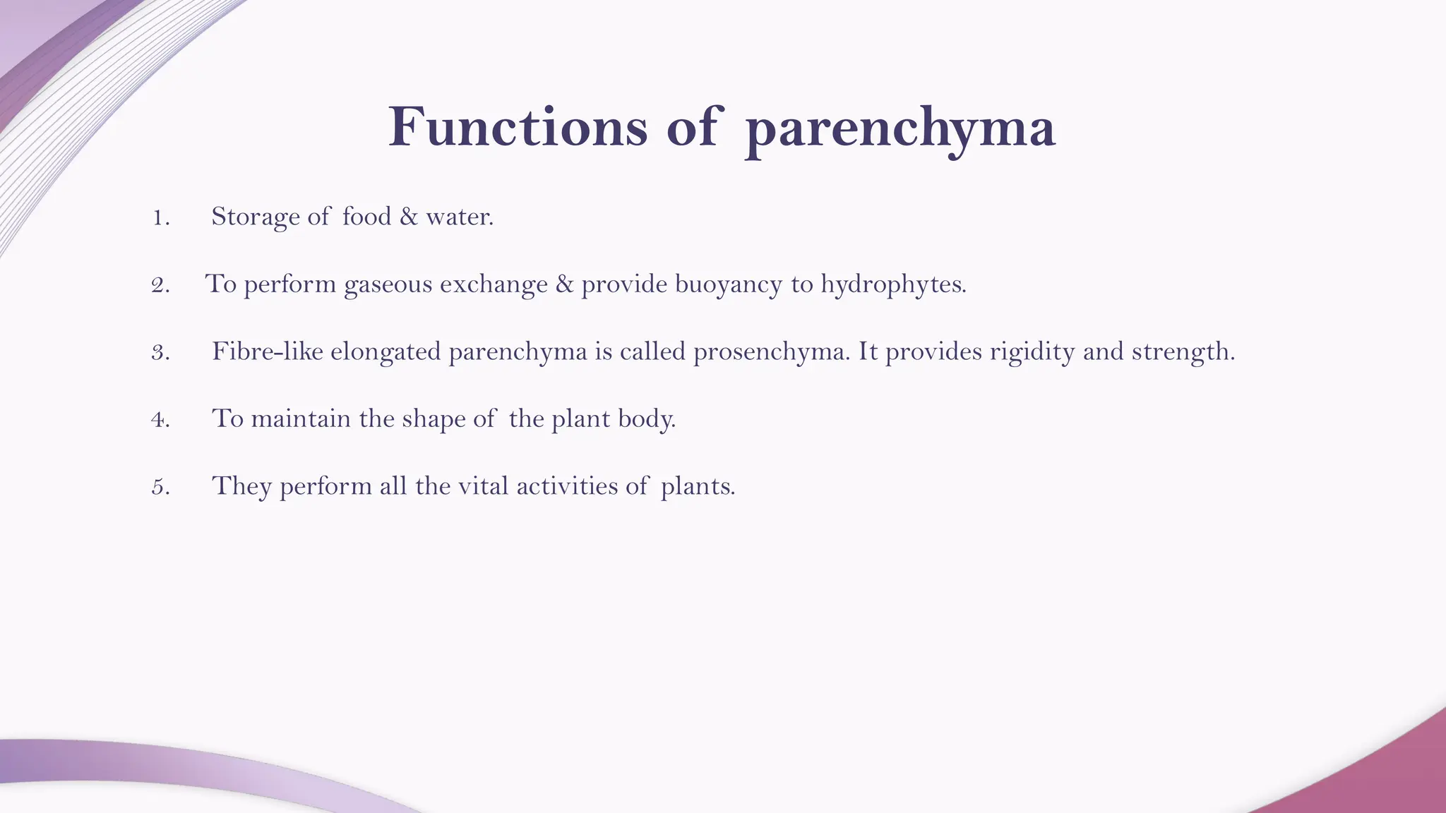 tissues cbse grade 9 science biology.pptx