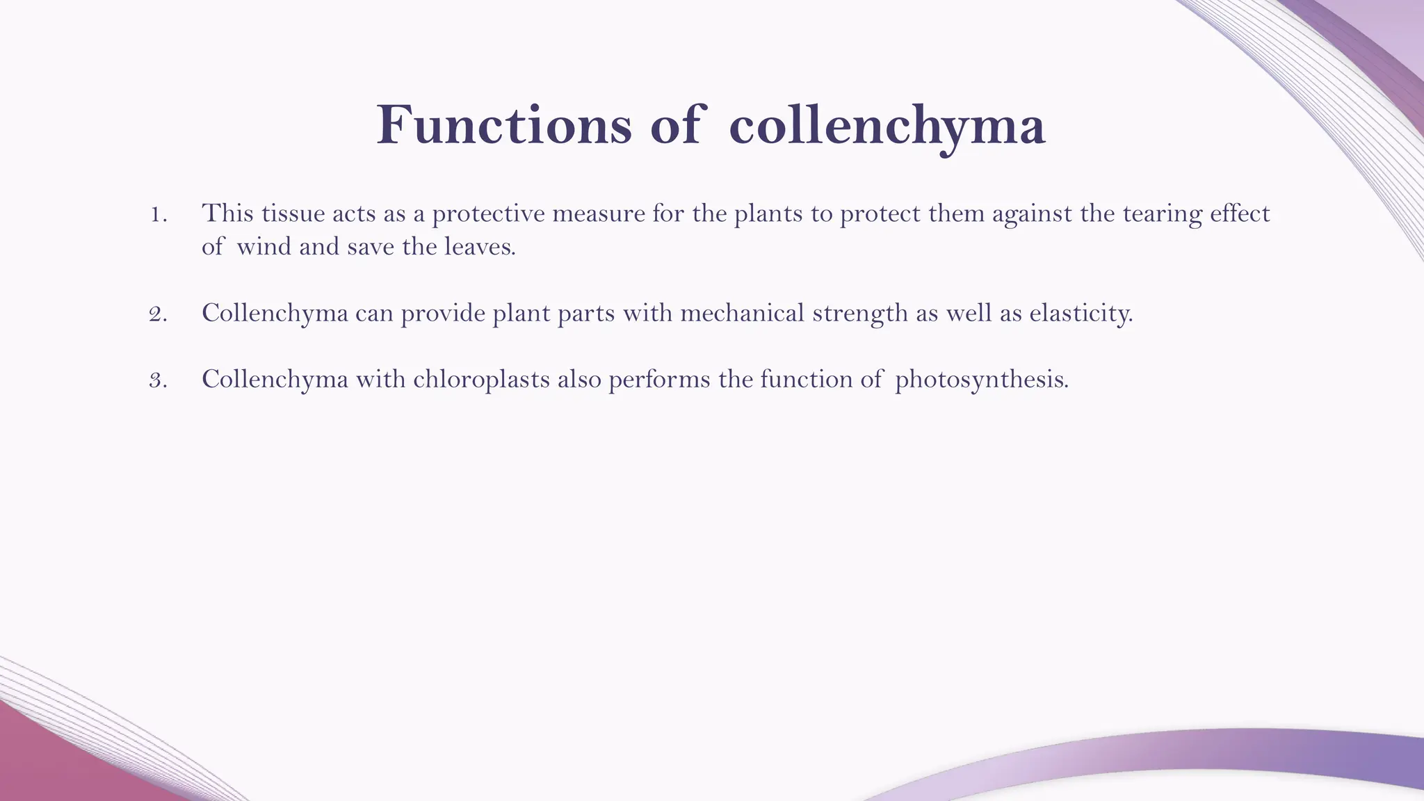 tissues cbse grade 9 science biology.pptx