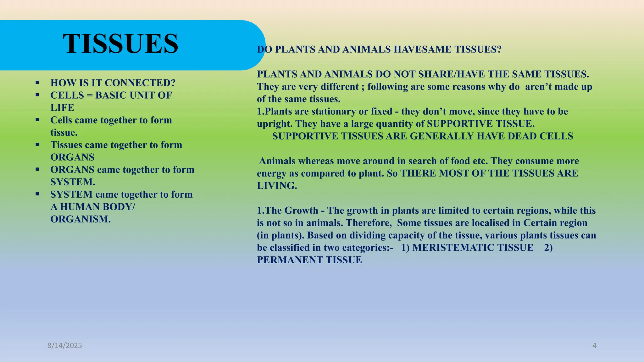 Grade 9 Tissues chapter CBSE for revision | PDF