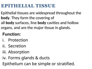 Tissues Human Anatomy and Physiology b pharm 1 | PPTX