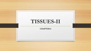 Tissues II | PPT