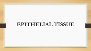 Tissues II | PPT