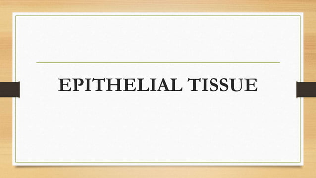 Tissues II | PPT