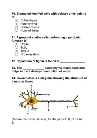 Class 9 TISSUES MCQs | PDF