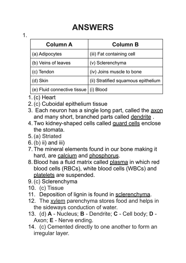 Class 9 TISSUES MCQs | PDF