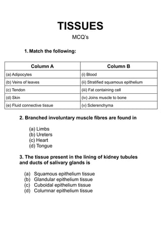 Class 9 TISSUES MCQs | PDF